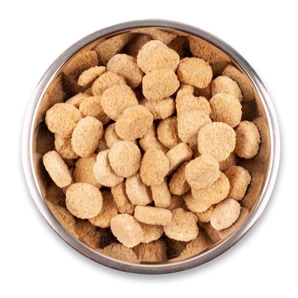 Hypoallergenic Grain-Free Insect Protein Snacks With Carrot – BestBarf